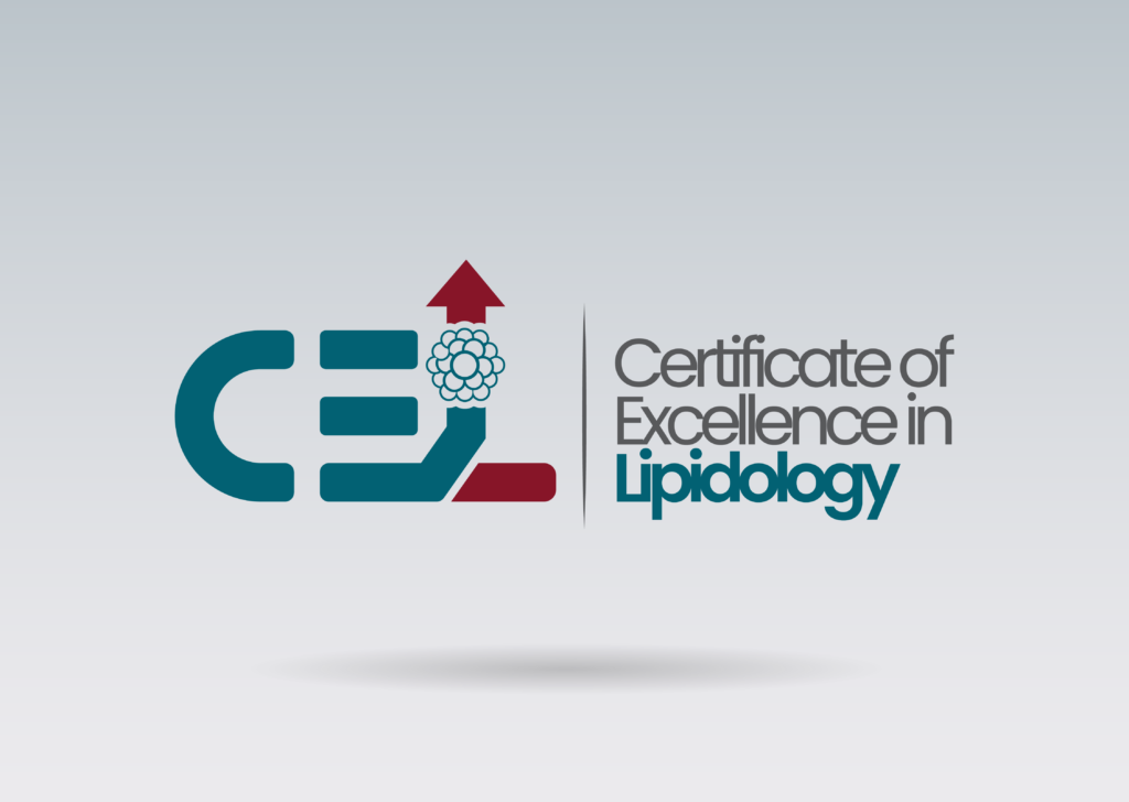 Carveda – Bifold Brochure – Technoverse